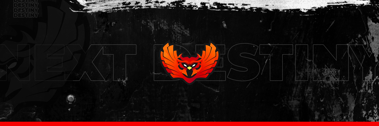 NDe – Next Destiny Esports