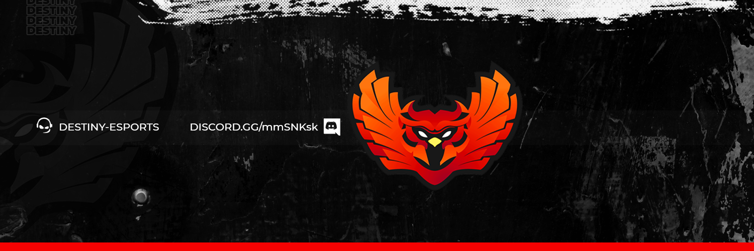 NDe – Next Destiny Esports